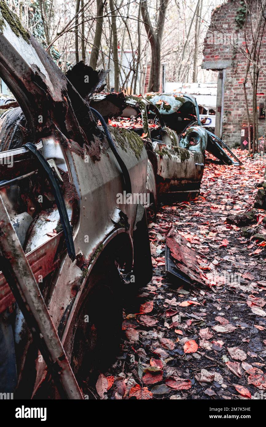 Old abandoned cars dumped in the Forest somewhere in Belgium Stock ...
