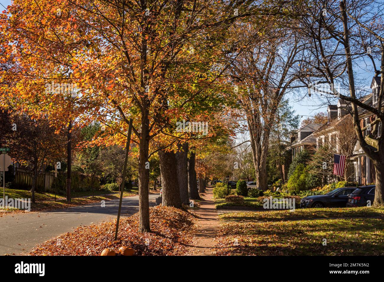 Suburban neighbourhood washington hi-res stock photography and images ...