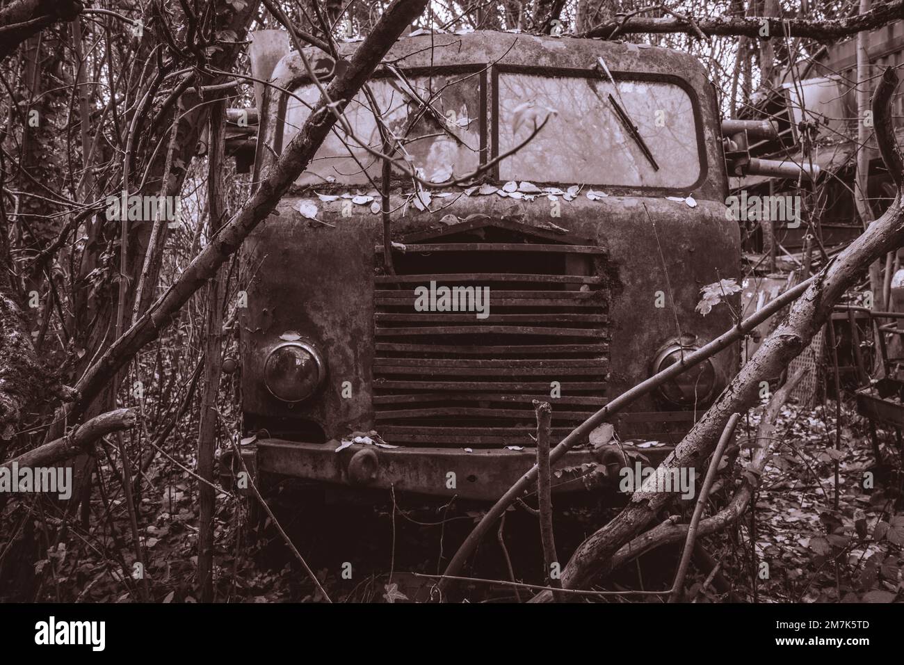 Old abandoned cars dumped in the Forest somewhere in Belgium Stock ...