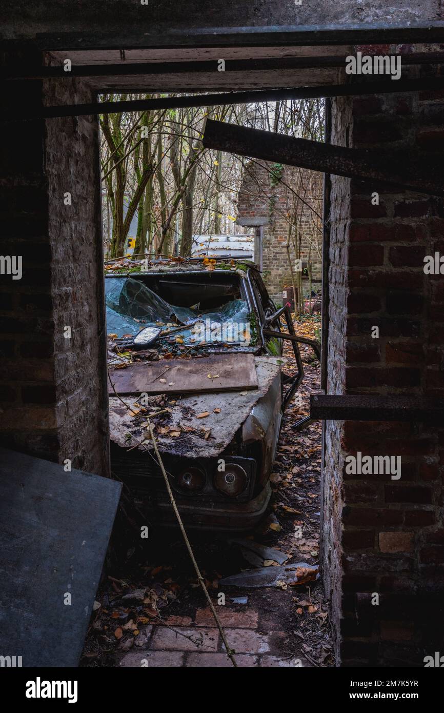 Old abandoned cars dumped in the Forest somewhere in Belgium Stock ...