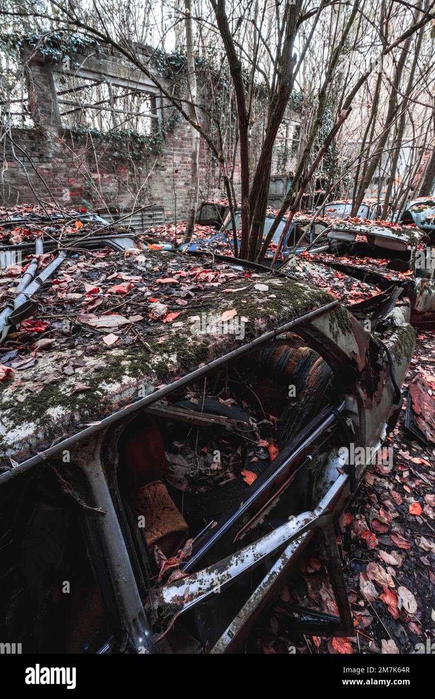 Old abandoned cars dumped in the Forest somewhere in Belgium Stock ...