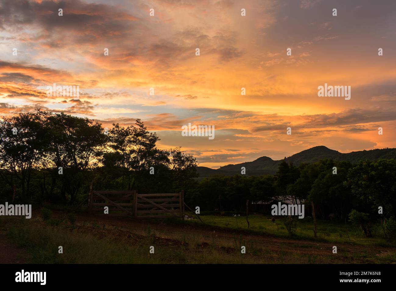 Sunset over a farm in the Carapina Valley - countryside of Sao ...
