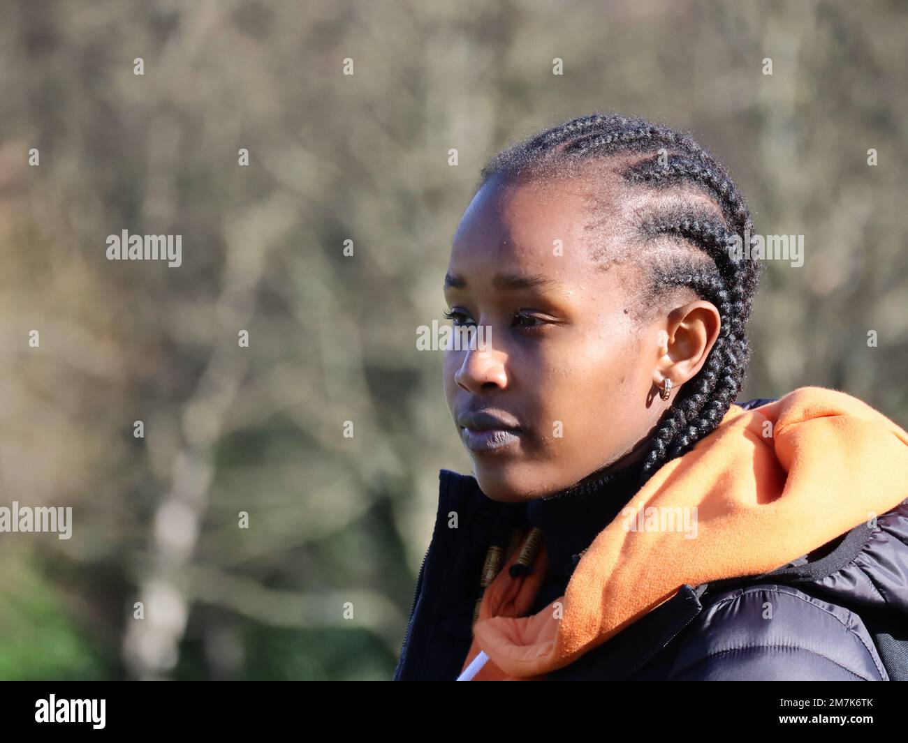 Black ebony hi-res stock photography and images - Alamy