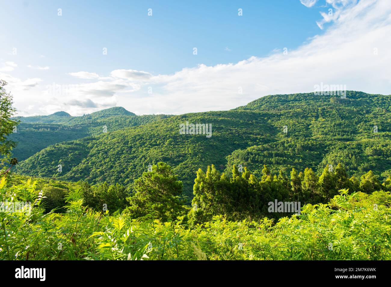 A view of the countryside (Carapina valley) in Sao Francisco de Paula ...