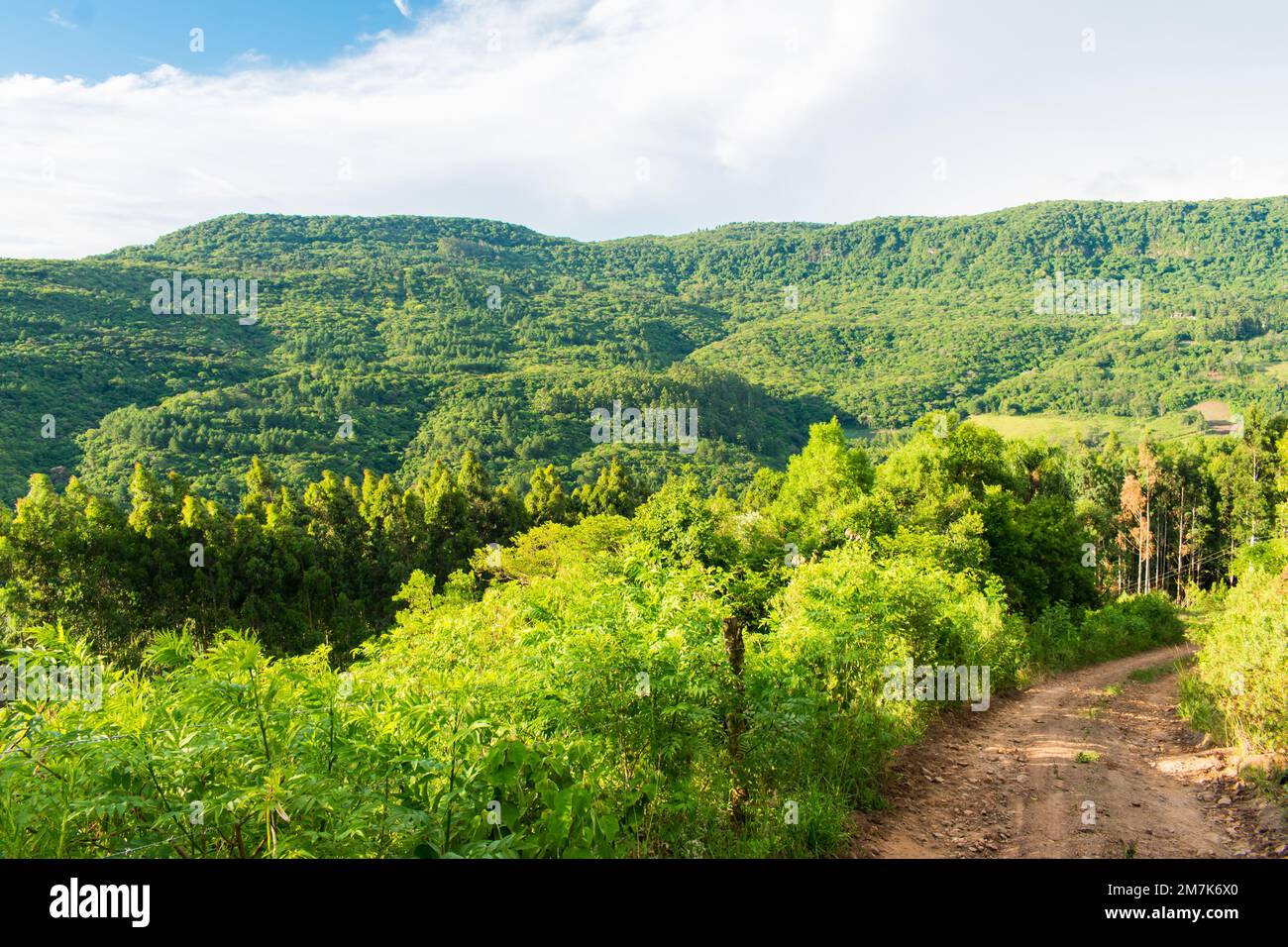 A view of the countryside (Carapina valley) in Sao Francisco de Paula ...