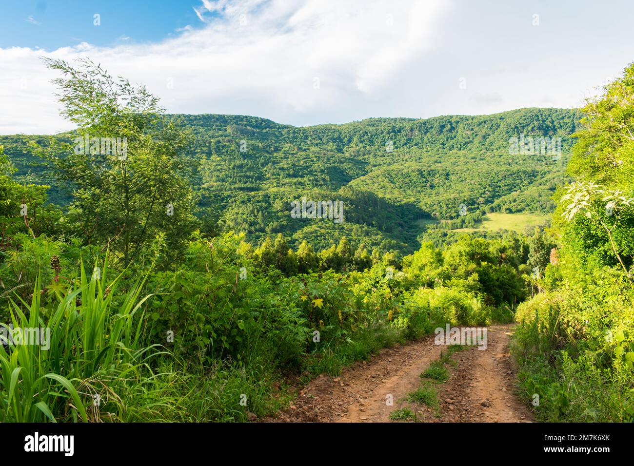 A view of the countryside (Carapina valley) in Sao Francisco de Paula ...