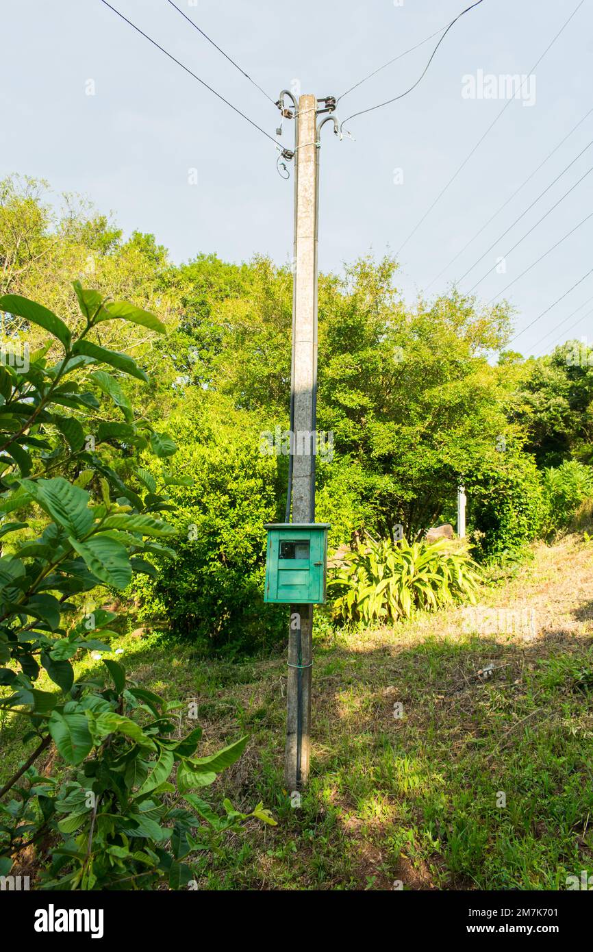 Old style wooden electricity pole with wooden energy meter box in the ...