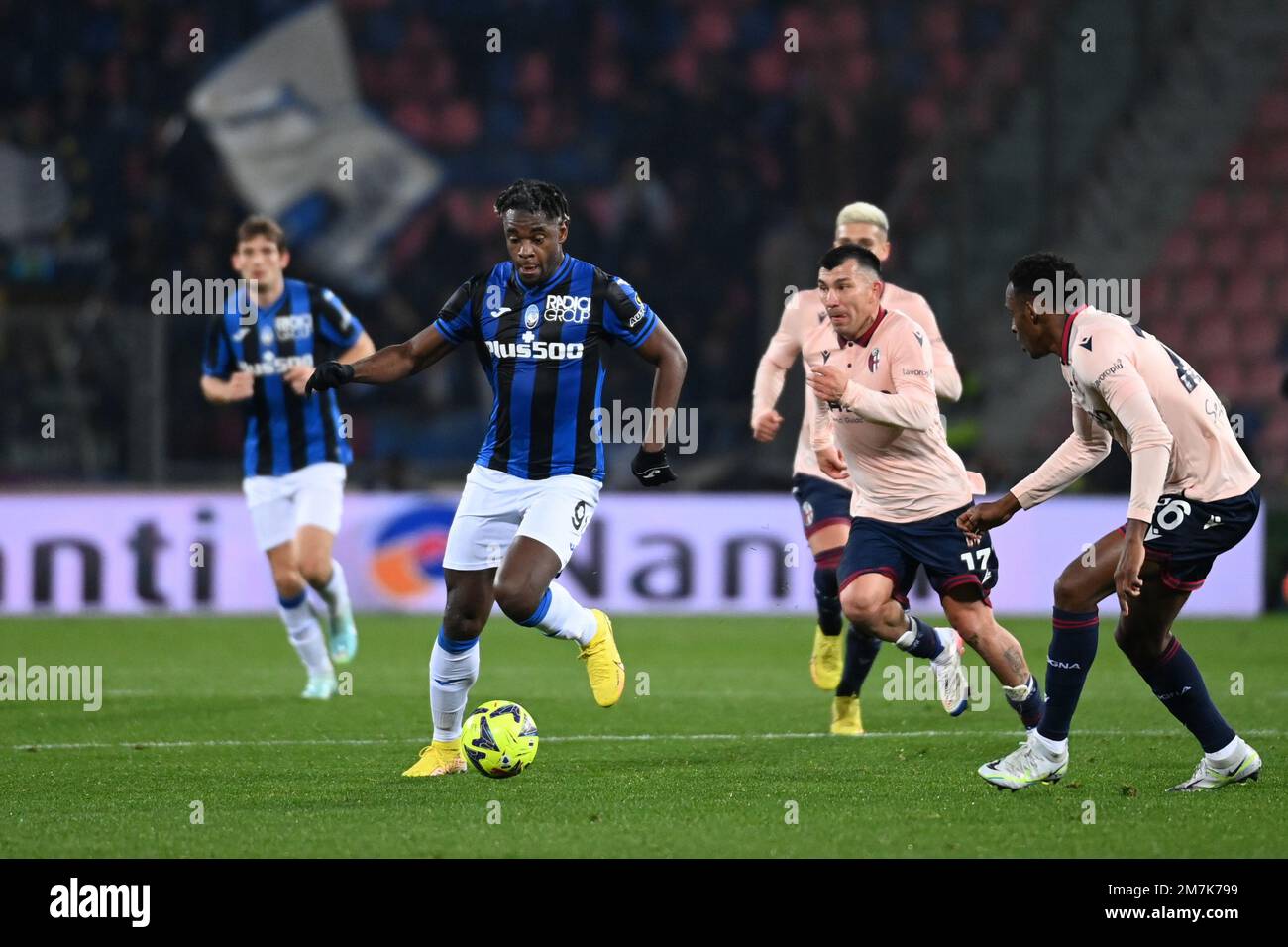 Bologna duvan hi-res stock photography and images - Alamy
