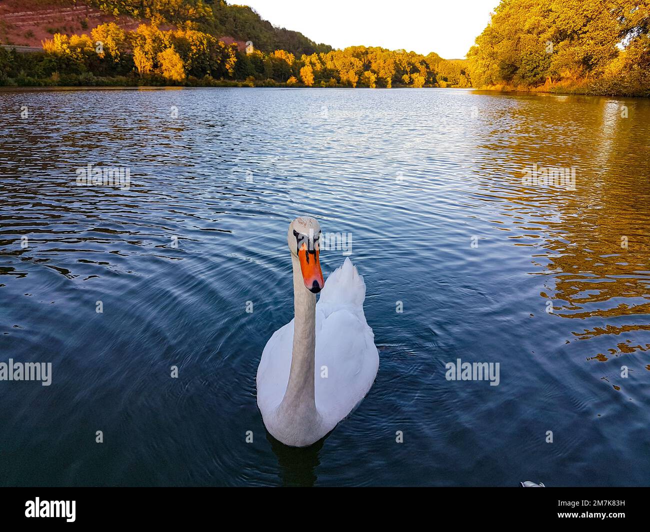 Digital Art pics Stock Photo - Alamy