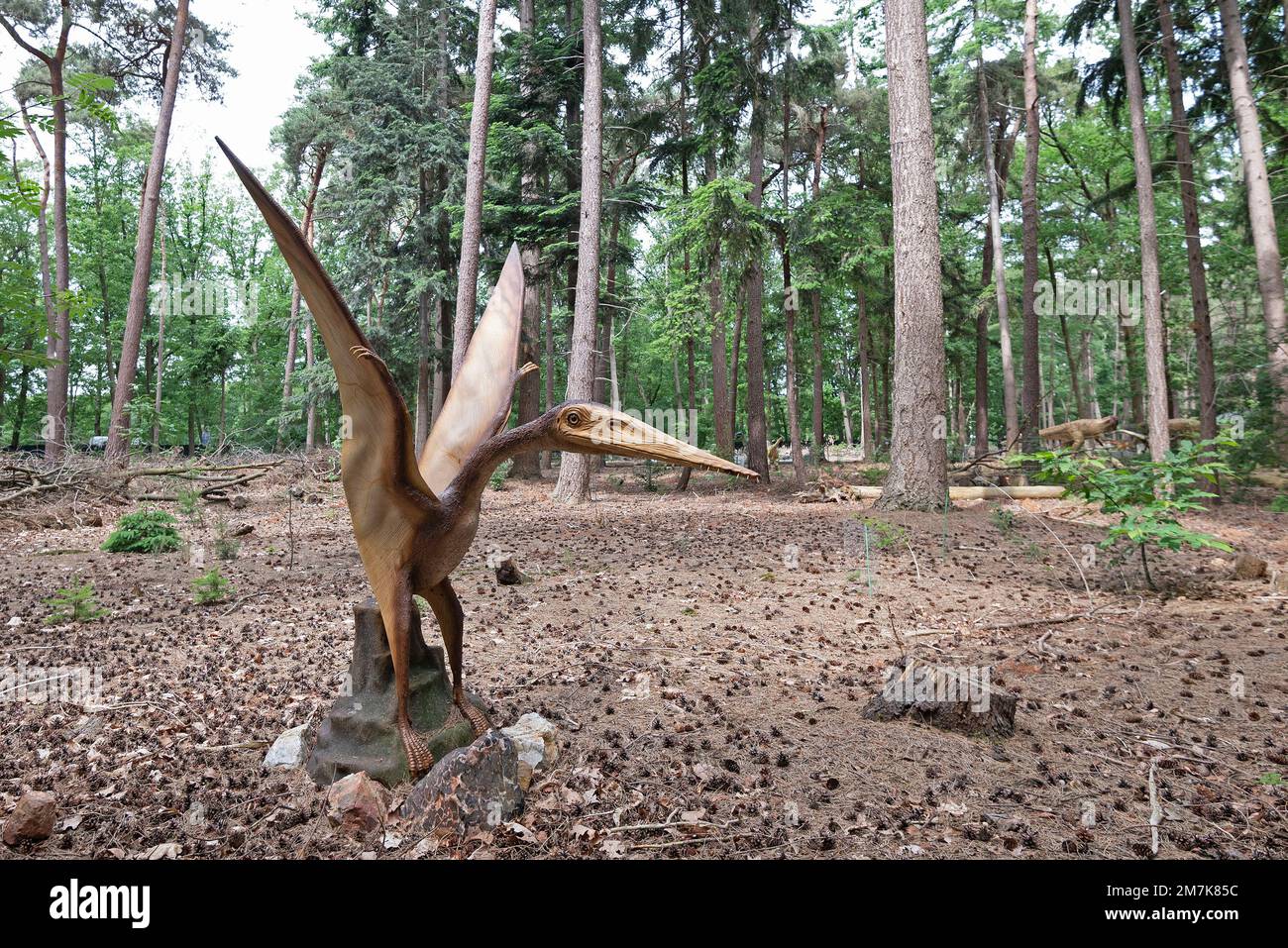 Oertijdmuseum-Boxtel-12-06-2022: Pterodactyl - prehistoric era wing ...