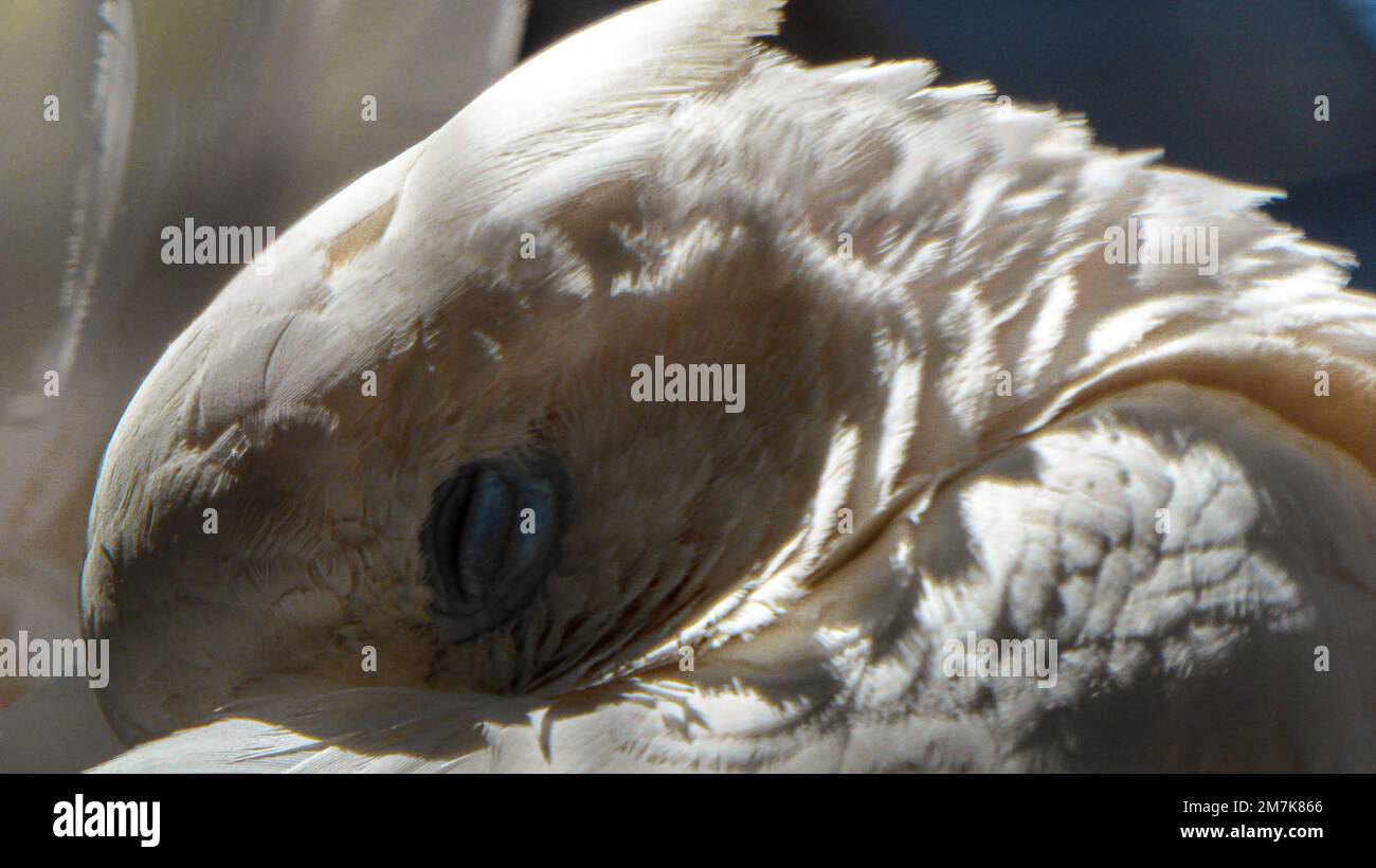 Digital Art pics Stock Photo - Alamy