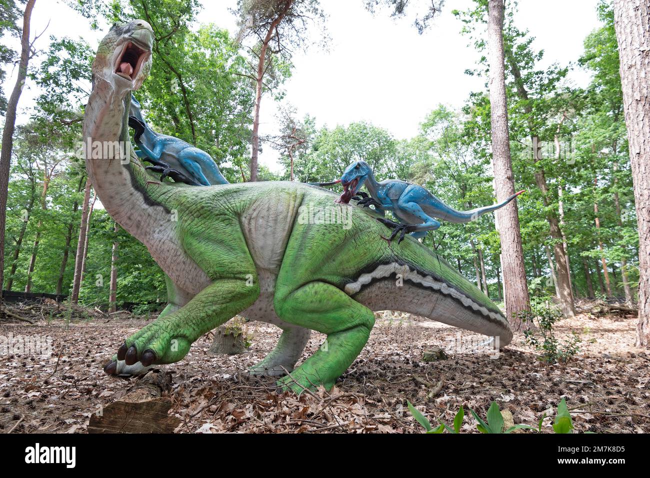 Oertijdmuseum-Boxtel-12-06-2022: Velociraptor Dinosaur in a green ...