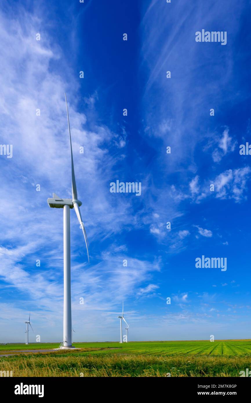 Modern windmills for energy transition in typical Dutch agricultural ...