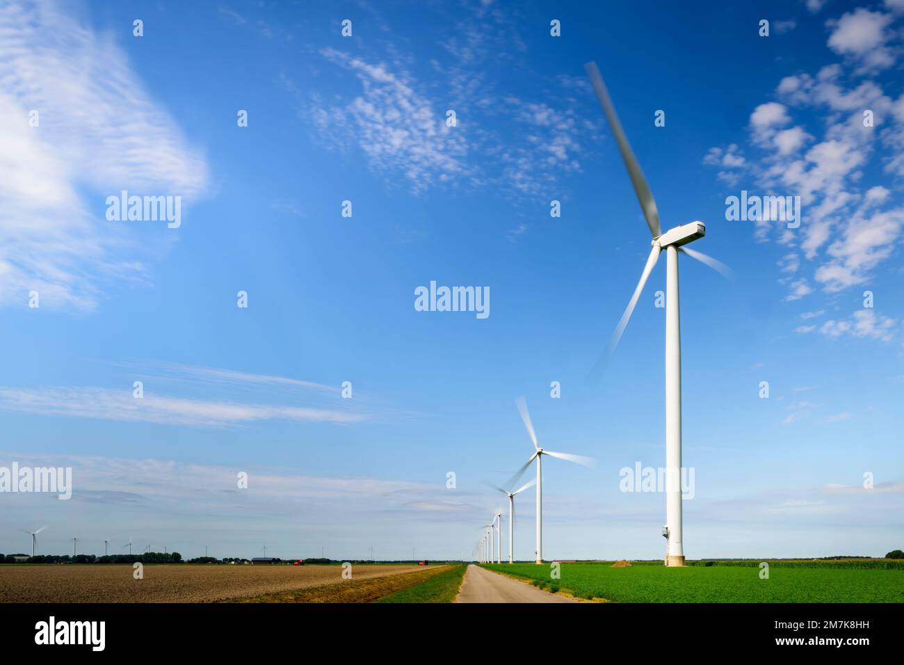 Modern windmills for energy transition in typical Dutch agricultural ...