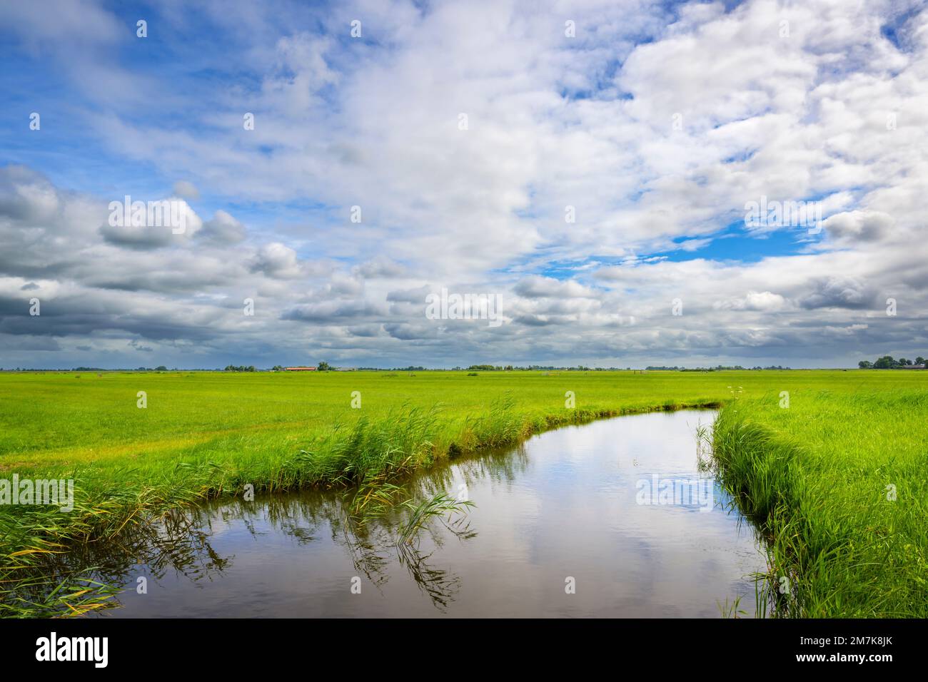 Authentic dutch river landscape with green meadows, water and blue sky ...