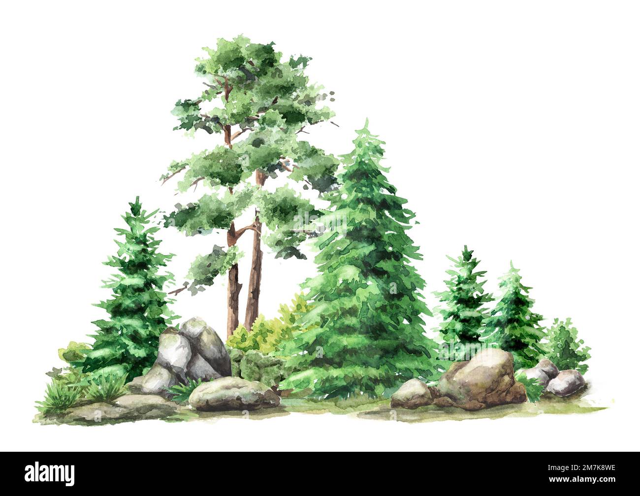 Forest landscape with rocks and trees. Hand drawn watercolor ...