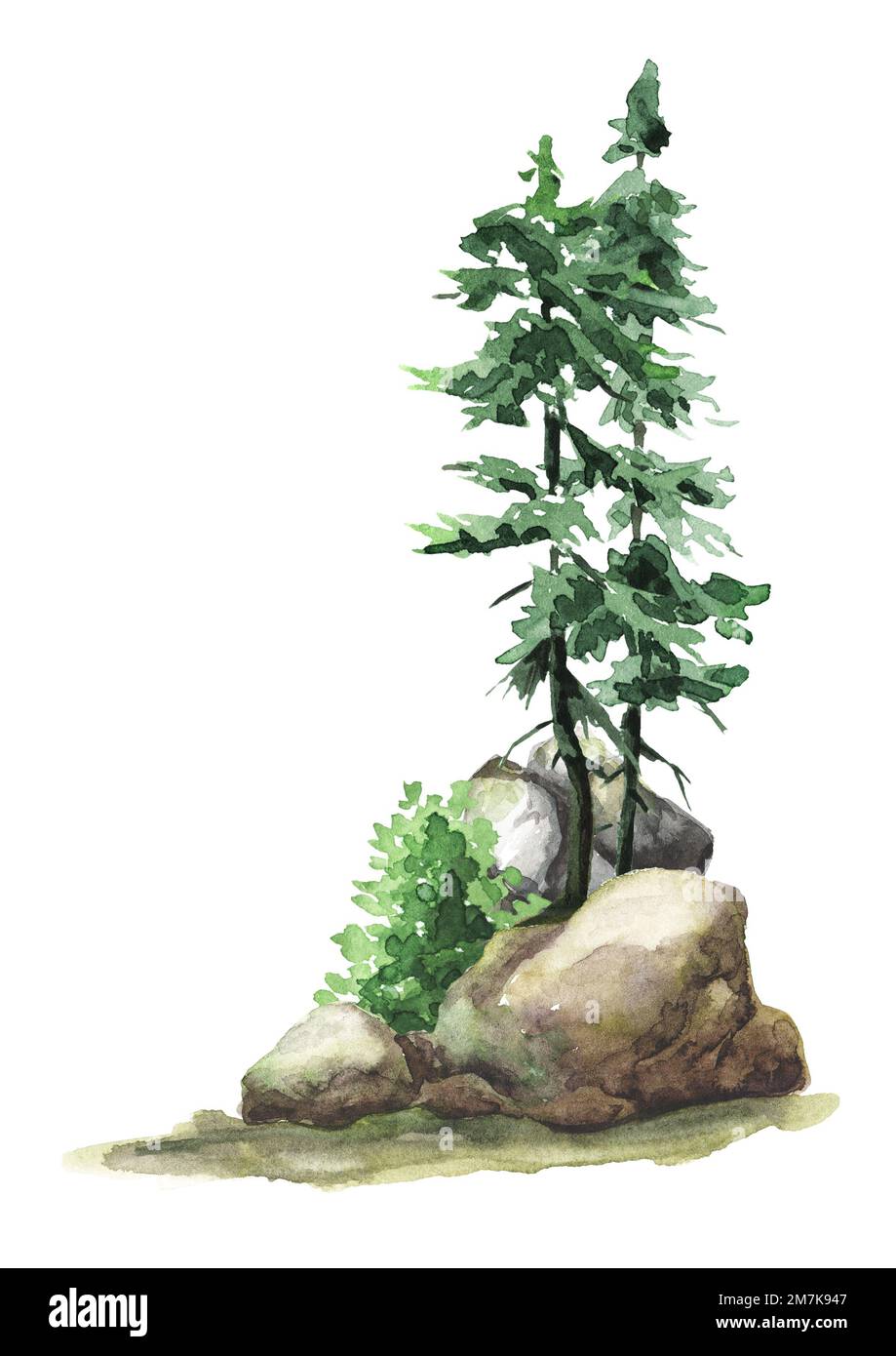 Forest landscape with rocks and fir trees Hand drawn watercolor ...