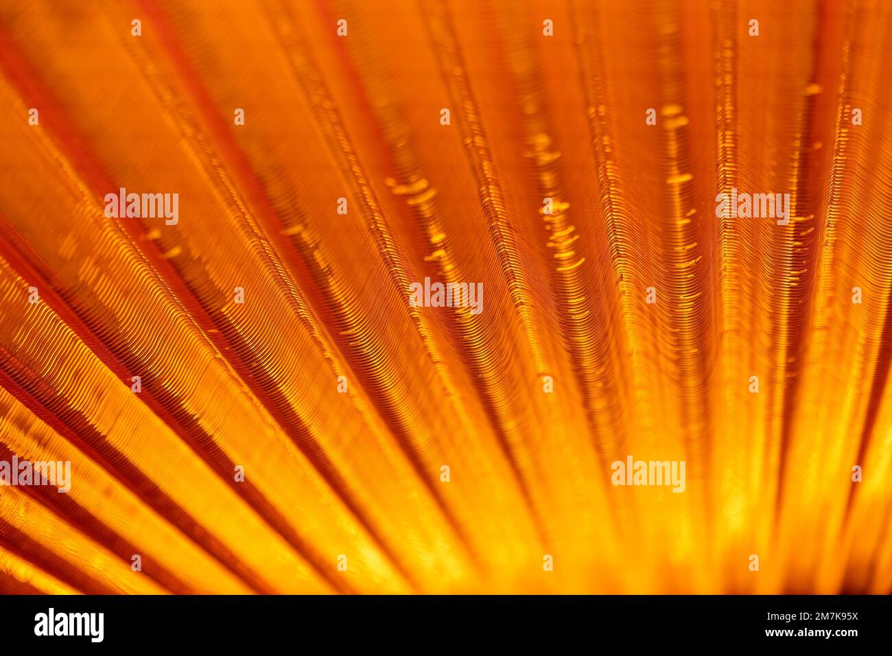 Orange abstract background detail in high quality Stock Photo - Alamy
