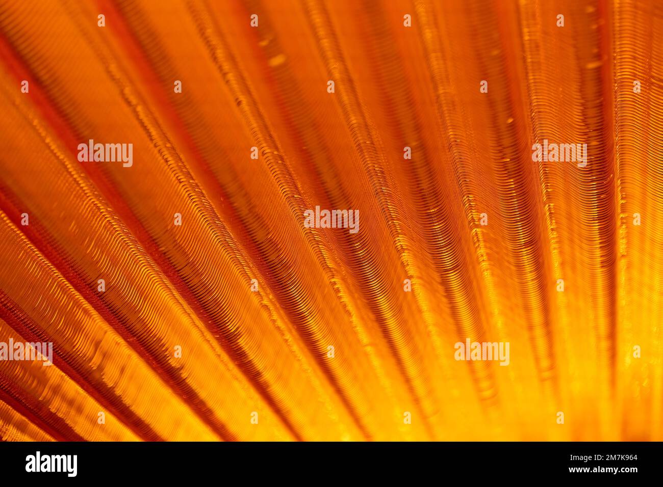 Orange abstract background detail in high quality Stock Photo - Alamy