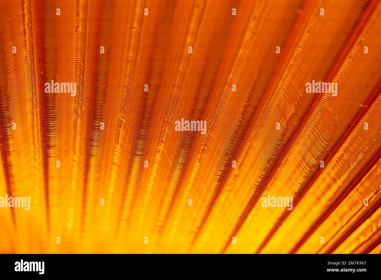 Orange abstract background detail in high quality Stock Photo - Alamy