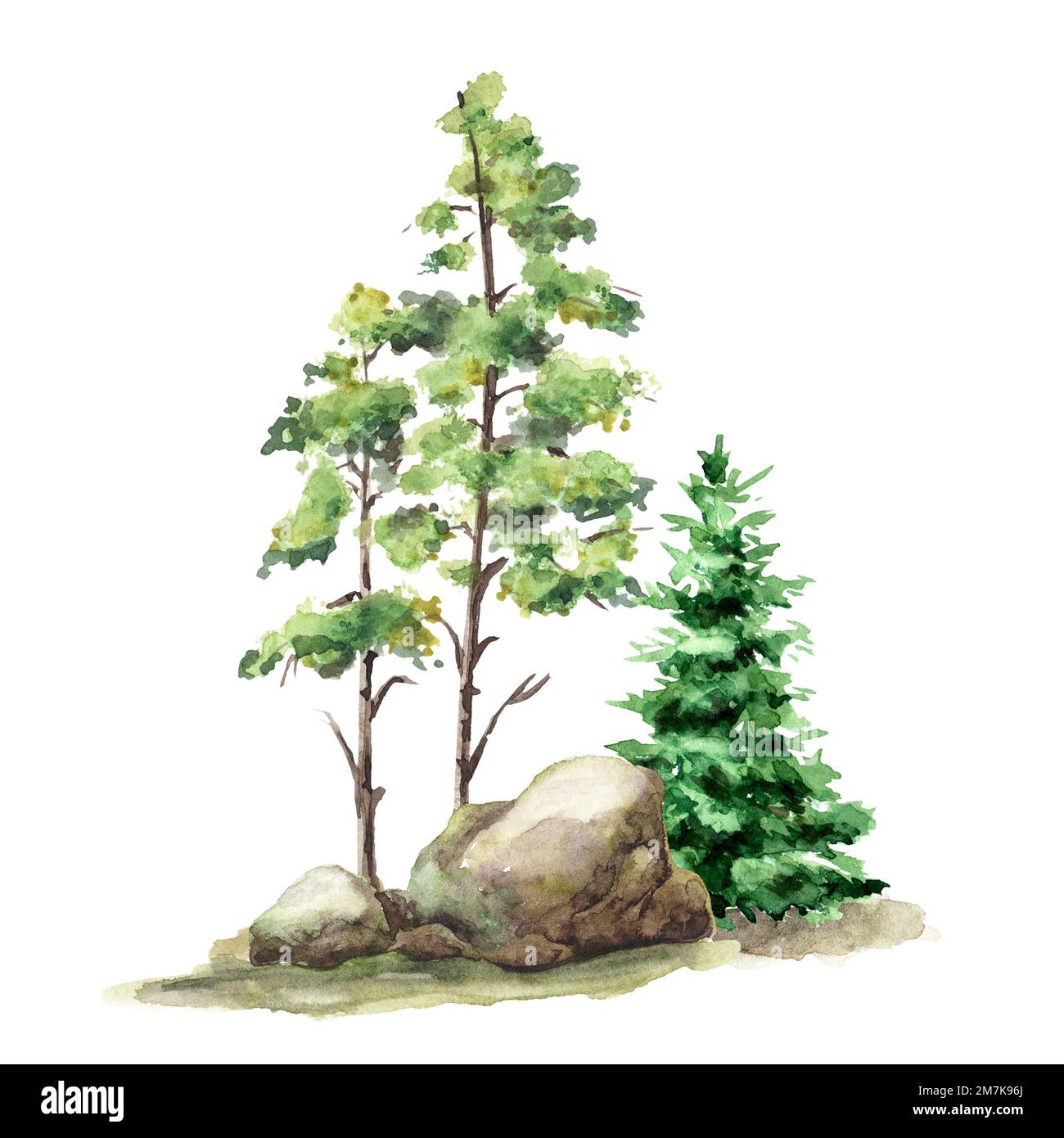 Forest landscape with rocks and trees. Hand drawn watercolor ...