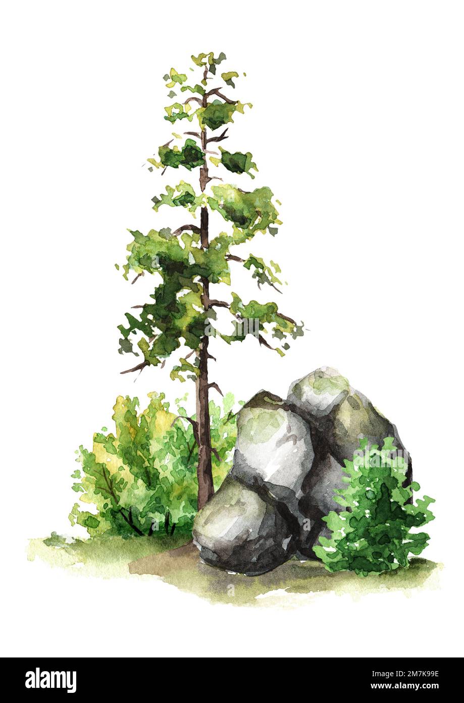 Forest landscape with rocks and trees. Hand drawn watercolor ...