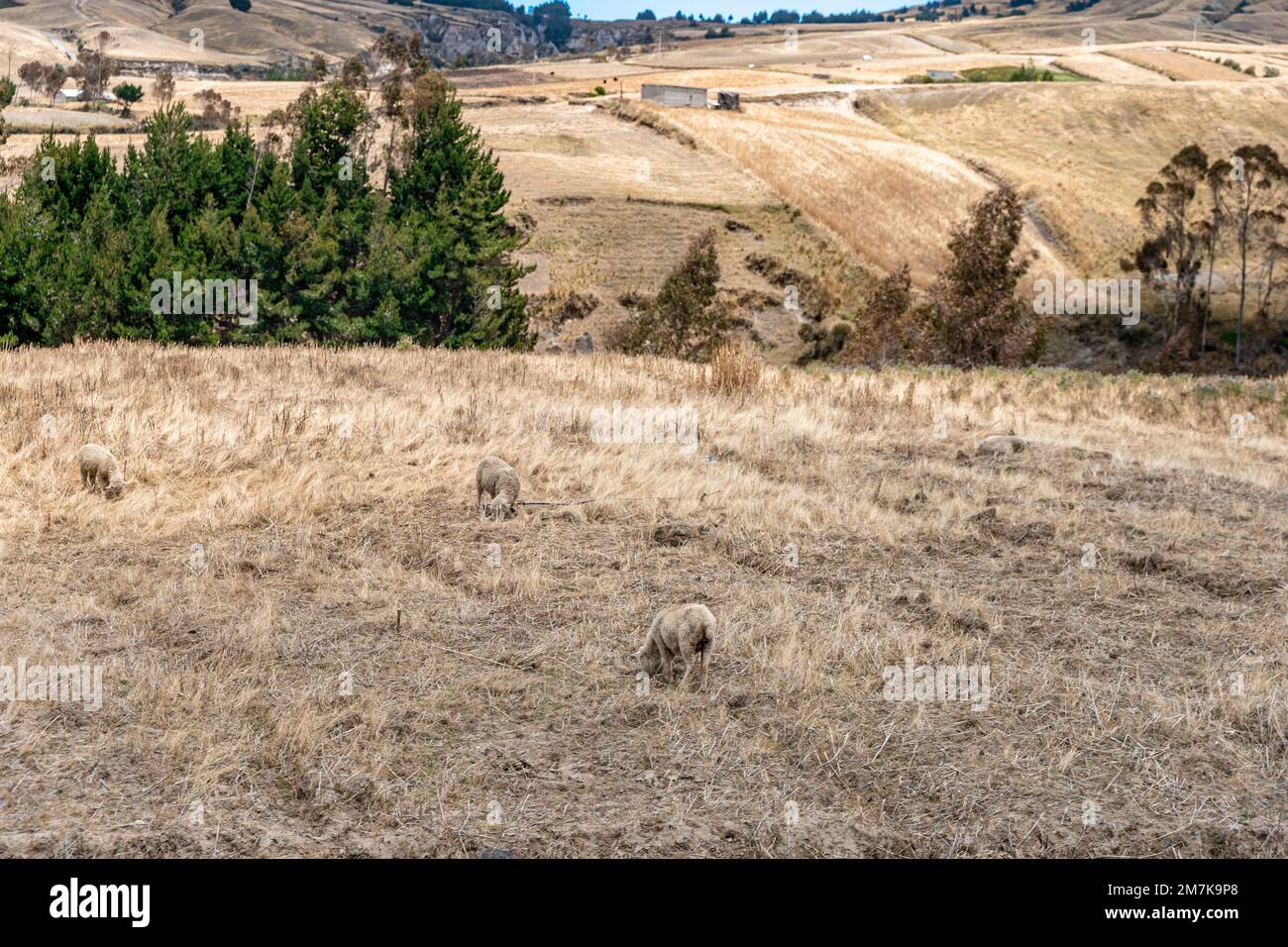 Equatorial mountain blue hi-res stock photography and images - Alamy