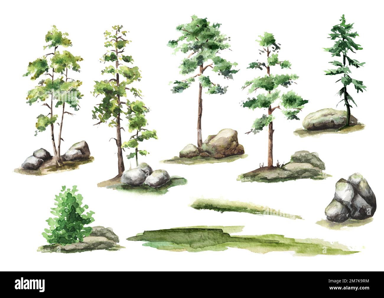 Wild Forest landscape elements, rocks and fir trees set. Hand drawn ...