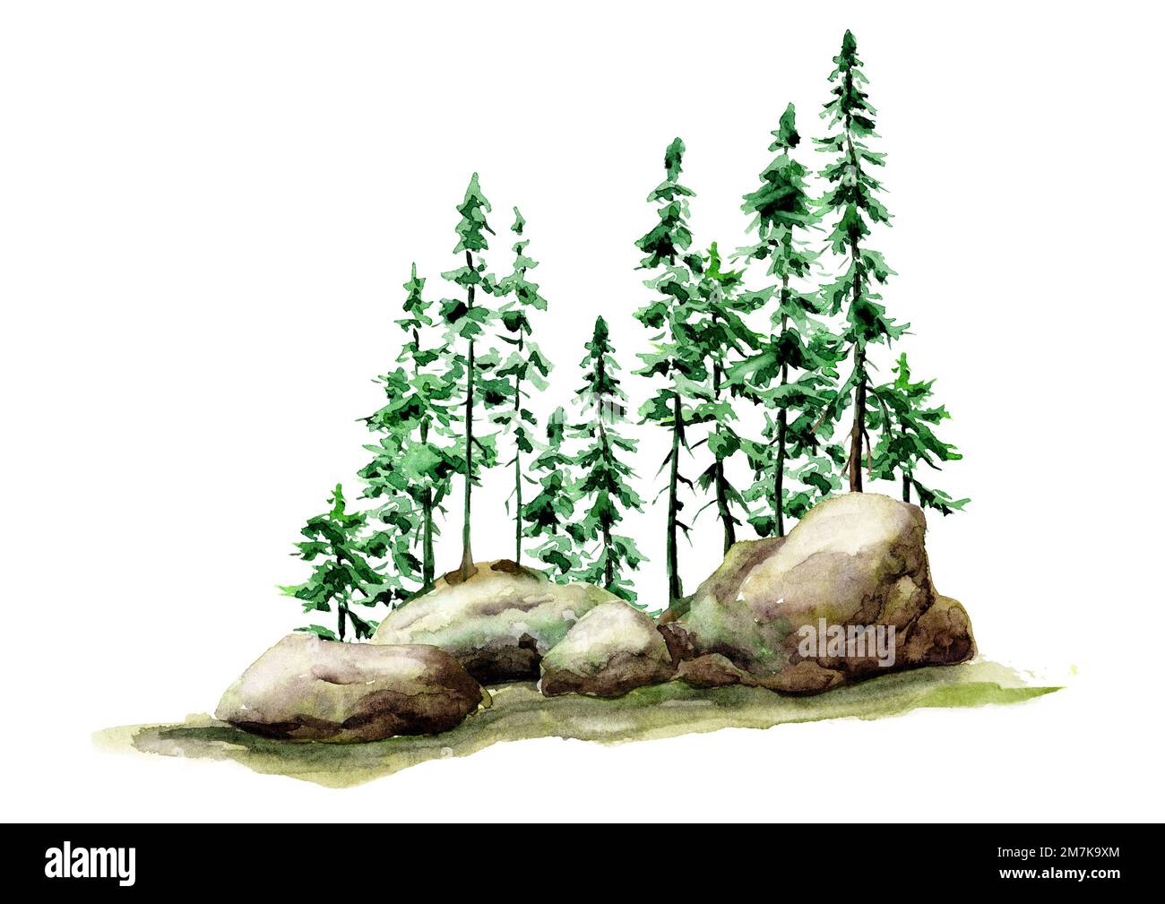 Wild Forest landscape wih rocks and fir trees. Hand drawn watercolor ...