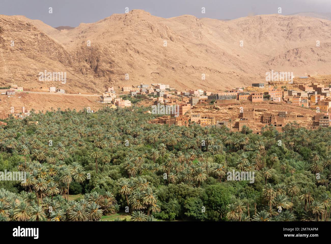 The Ouarzazate city in Morocco in Sahara Desert surrounded by green ...