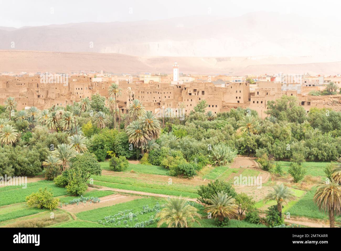 The Ouarzazate city in Morocco in Sahara Desert surrounded by green ...
