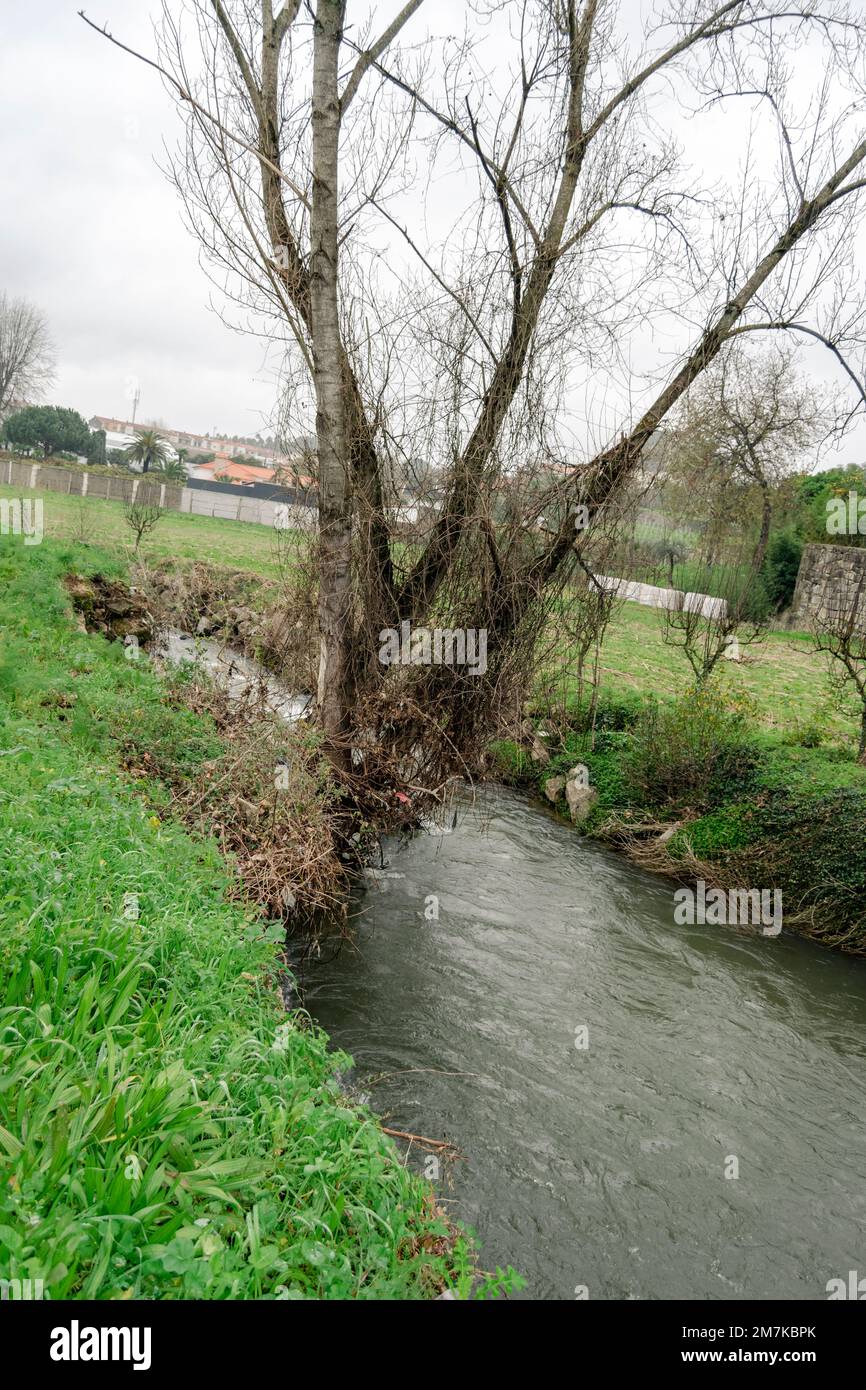 Winter rivers and floods caused by raining days. Urban rivers and ...