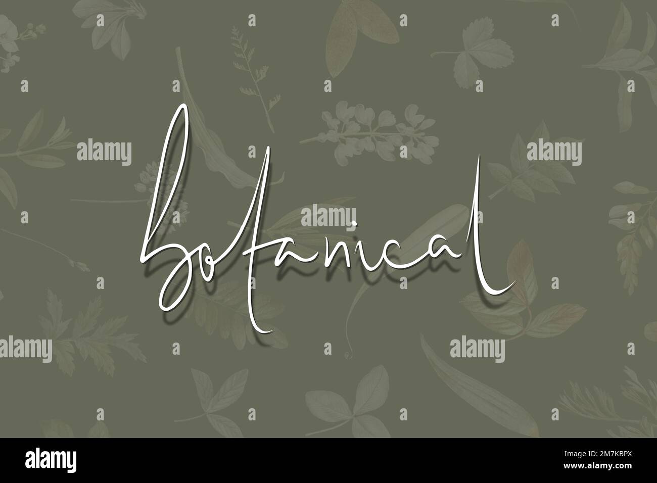 Cursive a Stock Vector Images - Alamy