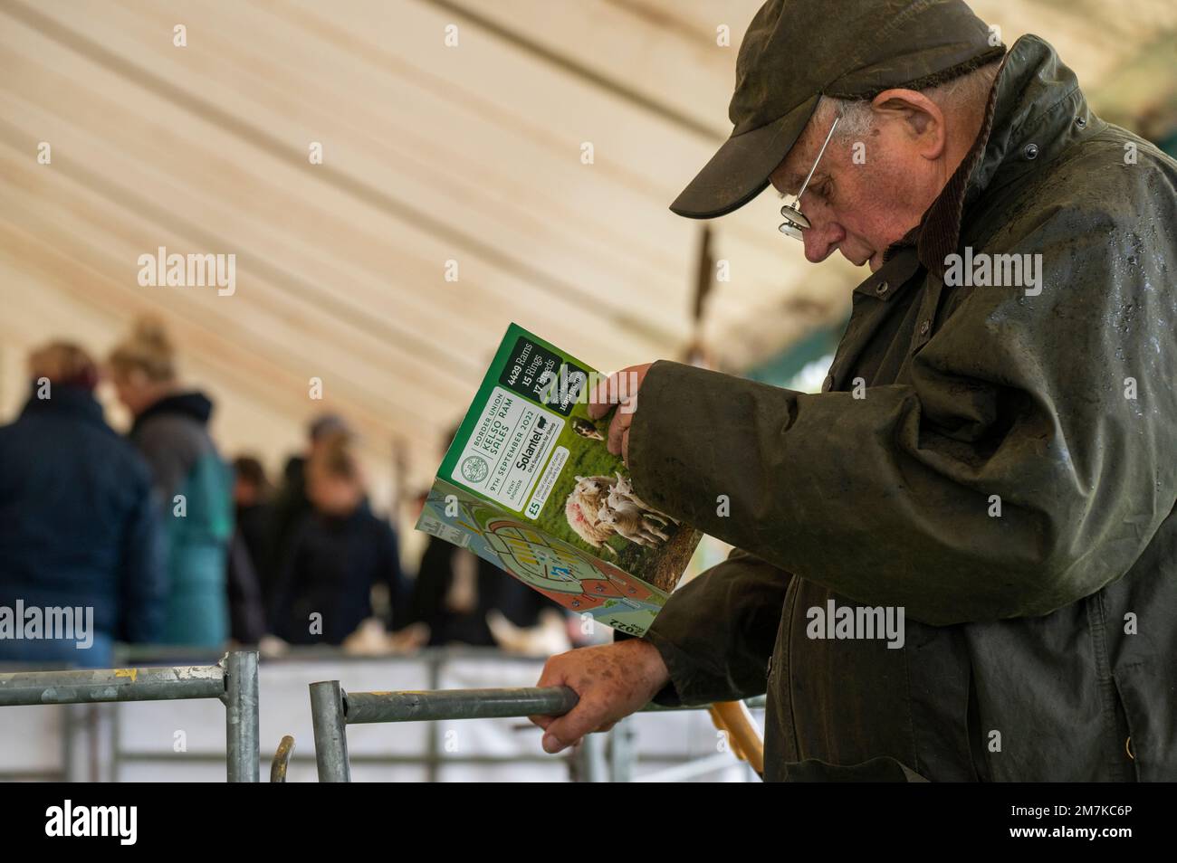 Images of the Kelso Rame Sales 2022. Springwood Park, Border Union ...