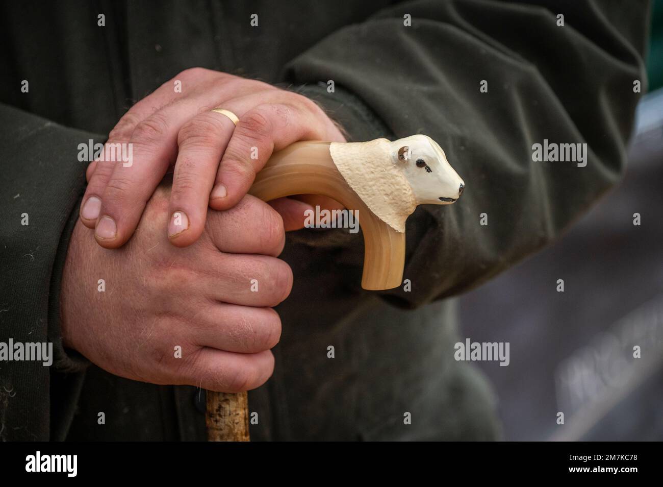 Images of the Kelso Rame Sales 2022. Springwood Park, Border Union ...