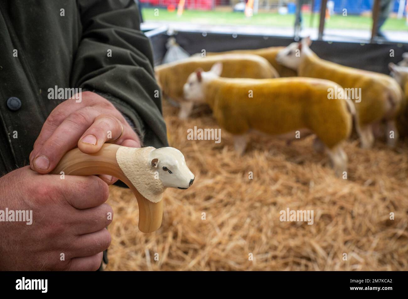 Images of the Kelso Rame Sales 2022. Springwood Park, Border Union ...
