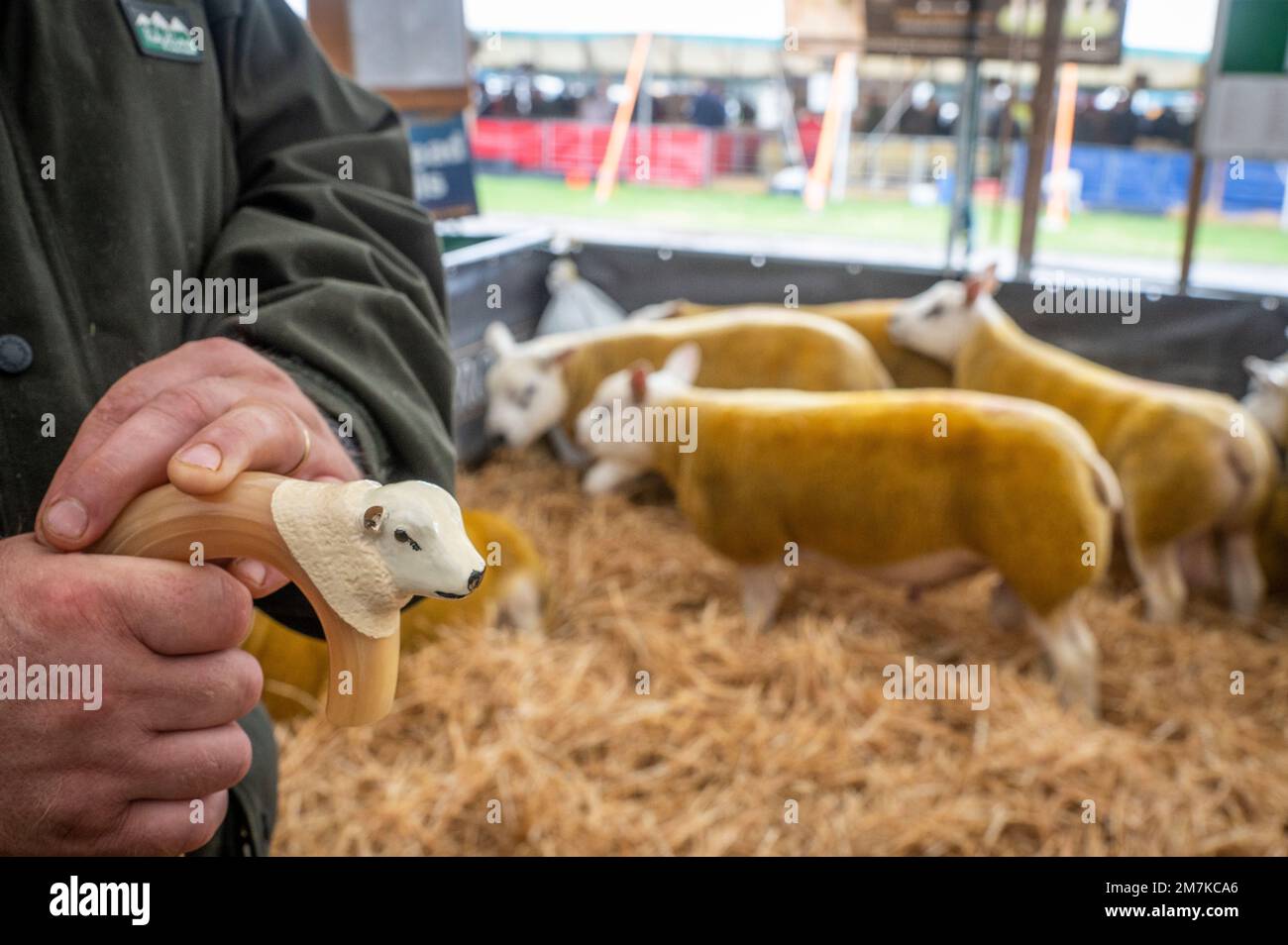 Images of the Kelso Rame Sales 2022. Springwood Park, Border Union ...