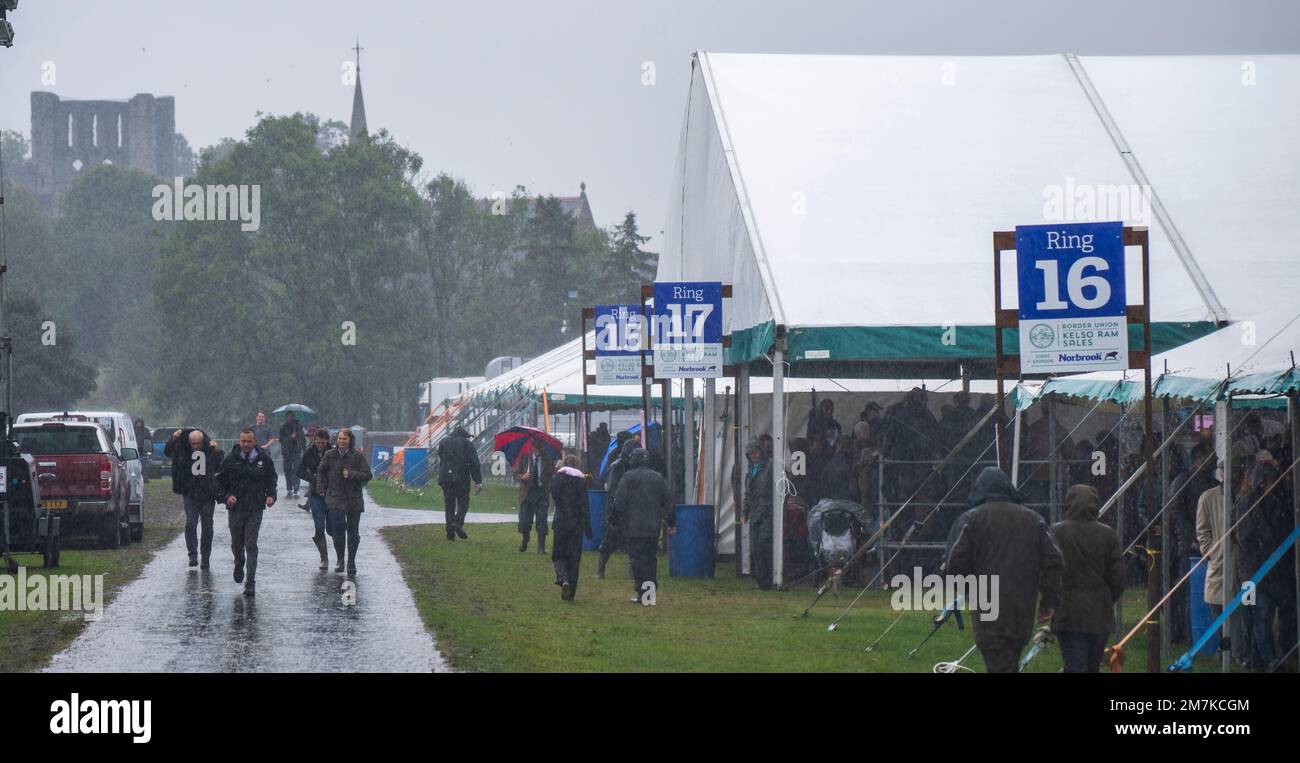 Images of the Kelso Rame Sales 2022. Springwood Park, Border Union ...