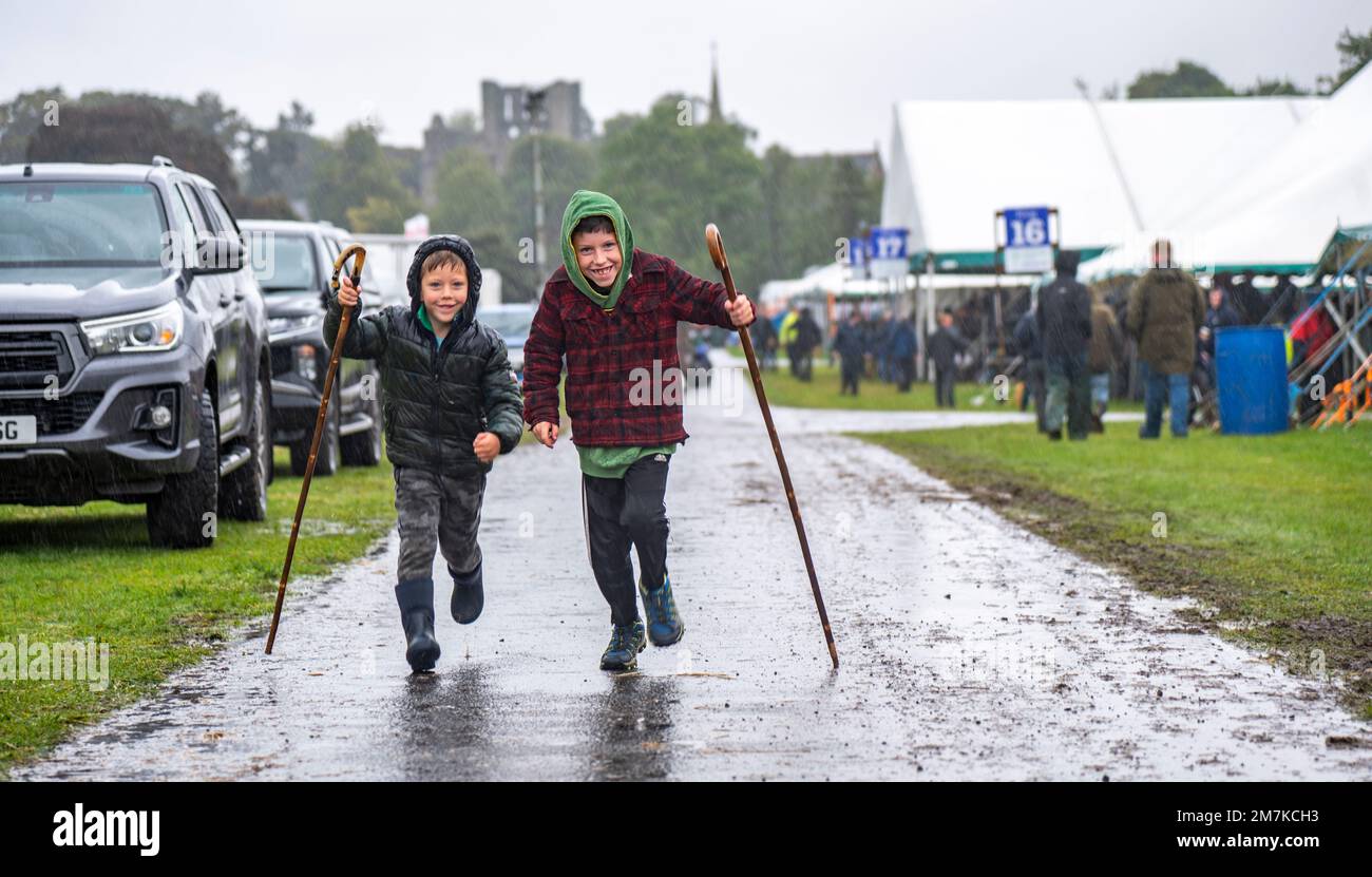 Images of the Kelso Rame Sales 2022. Springwood Park, Border Union ...