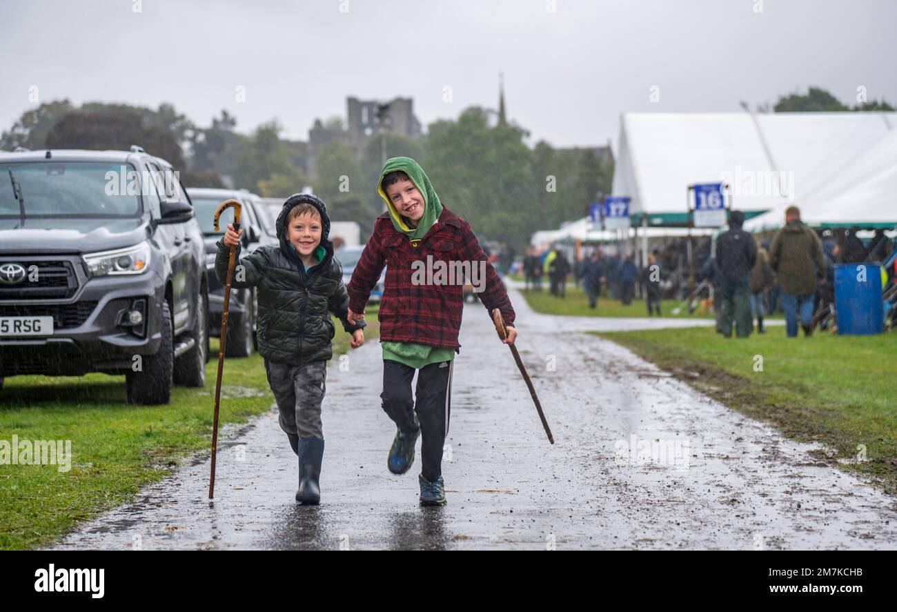 Images of the Kelso Rame Sales 2022. Springwood Park, Border Union ...