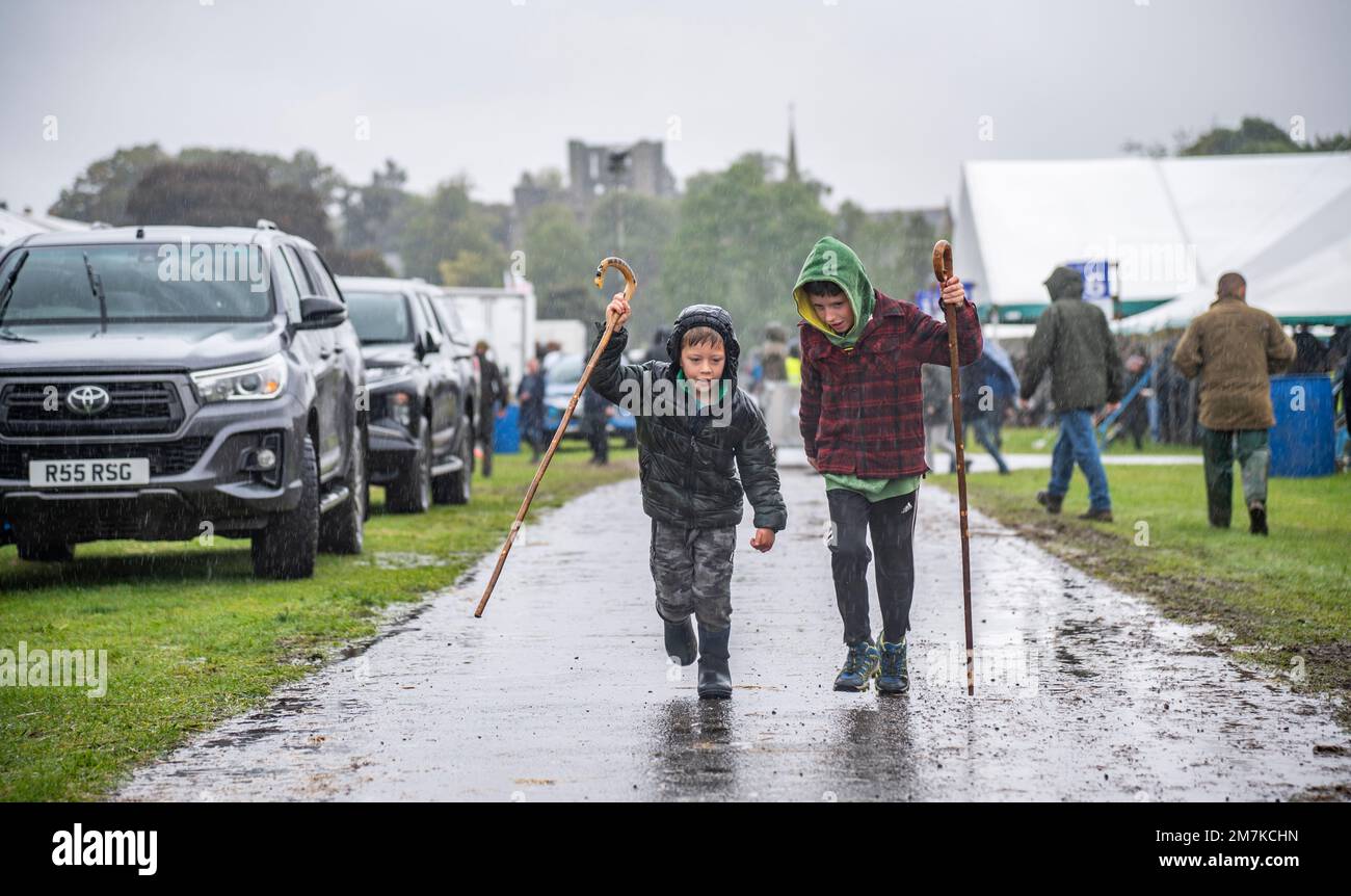 Images of the Kelso Rame Sales 2022. Springwood Park, Border Union ...