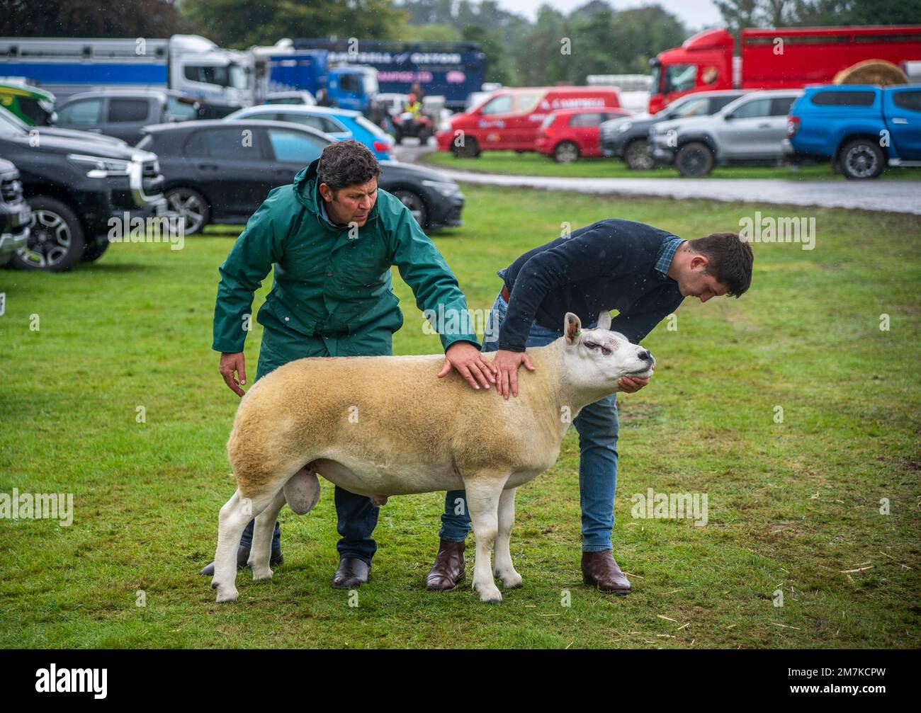Images of the Kelso Rame Sales 2022. Springwood Park, Border Union ...