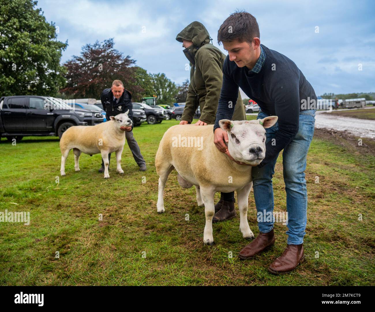 Images of the Kelso Rame Sales 2022. Springwood Park, Border Union ...