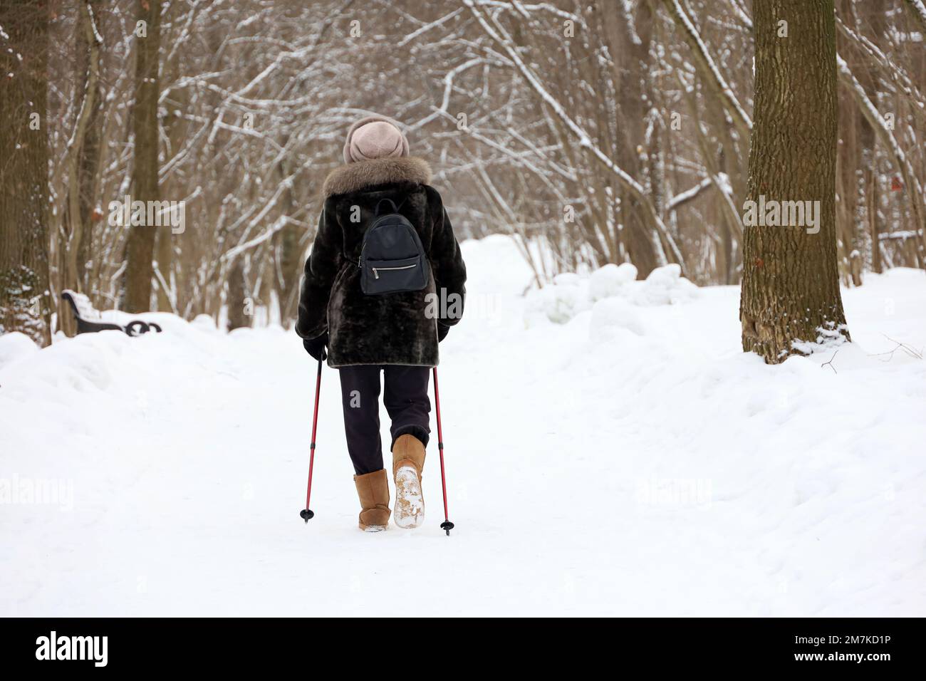 Woman with sticks walks in winter park on snow covered trees background ...