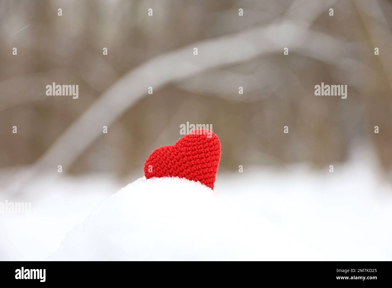 Love heart in snow on blurred forest background, Valentine's card ...