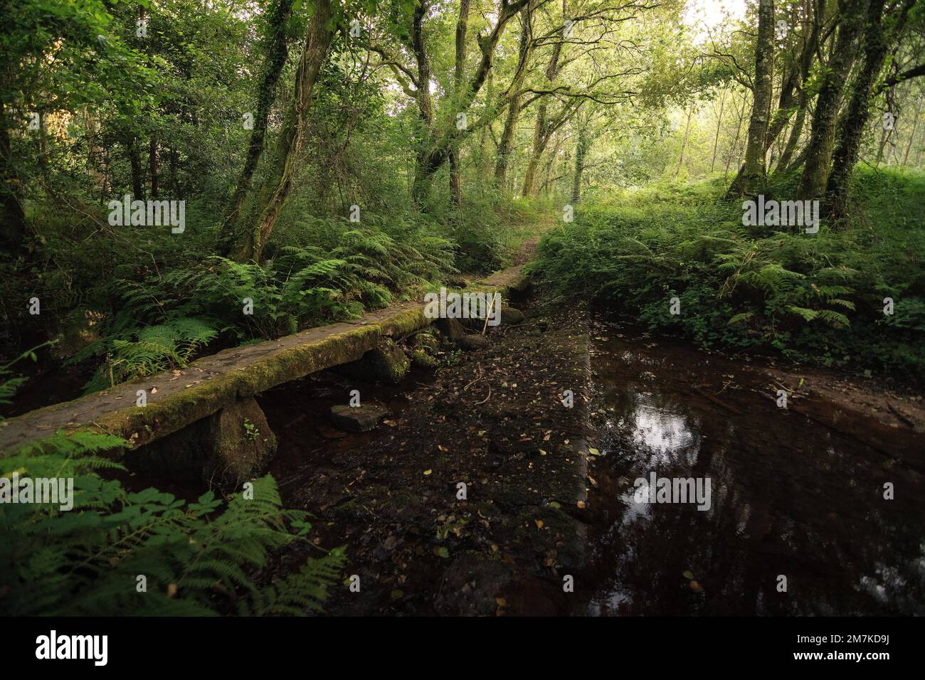Small natural river pool with a stone bridge to cross it in the middle ...