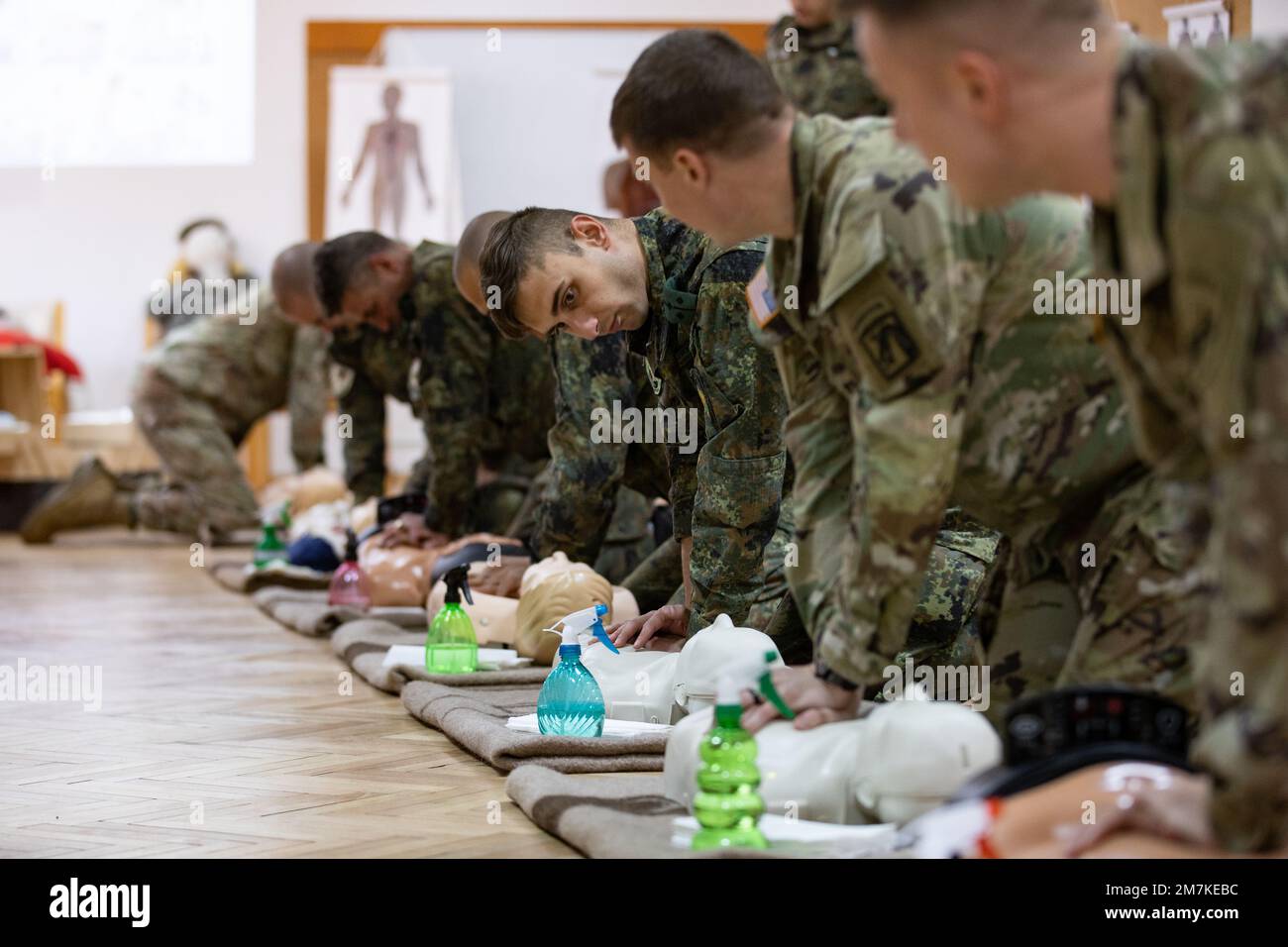 U.S. Army Soldiers assigned to Civil Affairs Team 0733, 407th Civil ...