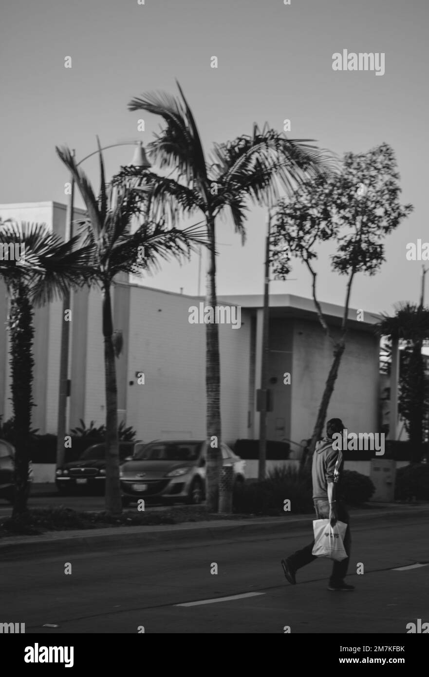 Man Jay walks across Atlantic ave. in the City of Bell. Palm trees in ...