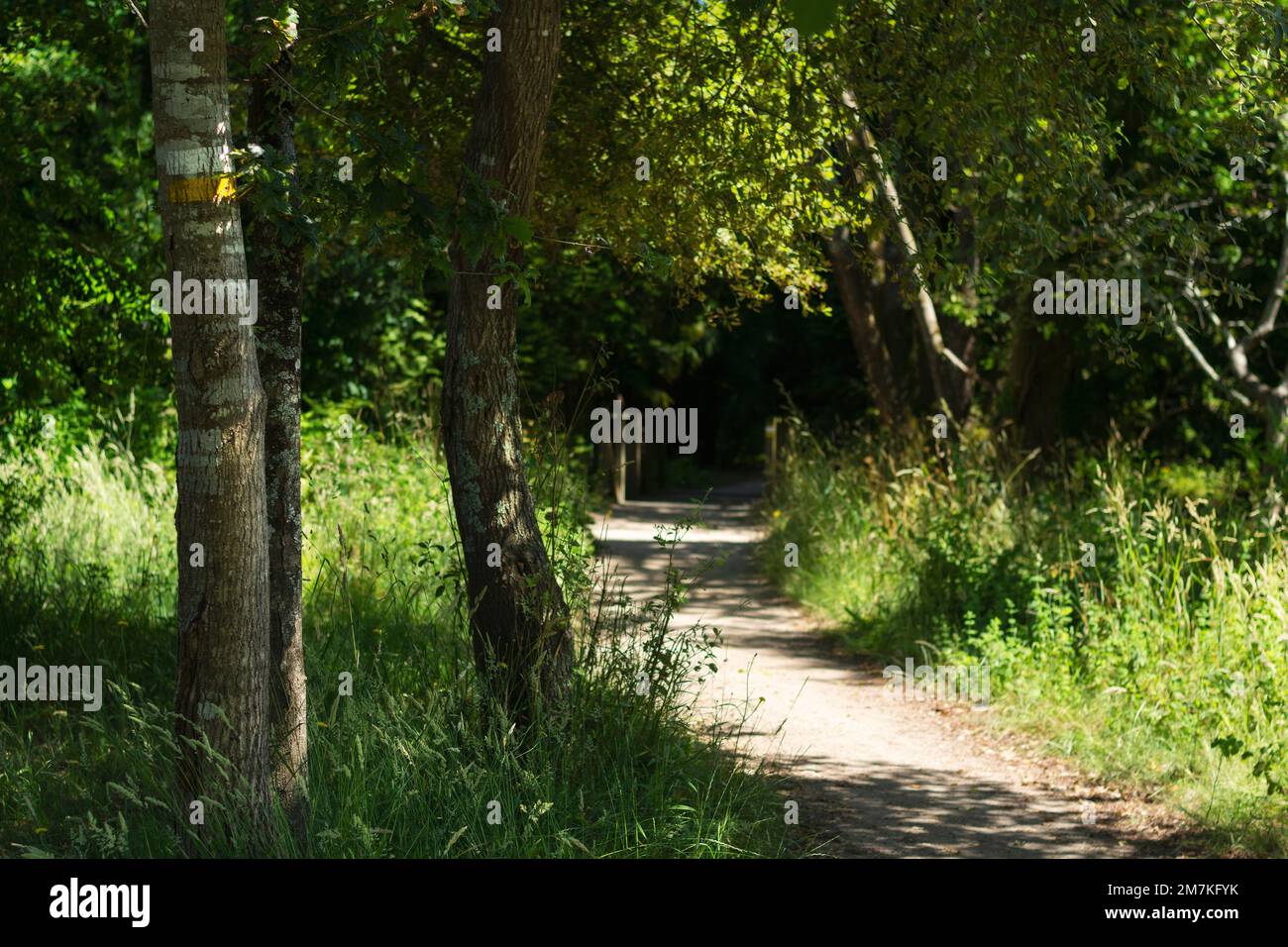 Natural trail called Sendeiro dos Pescadores, in O Rosal, passes ...