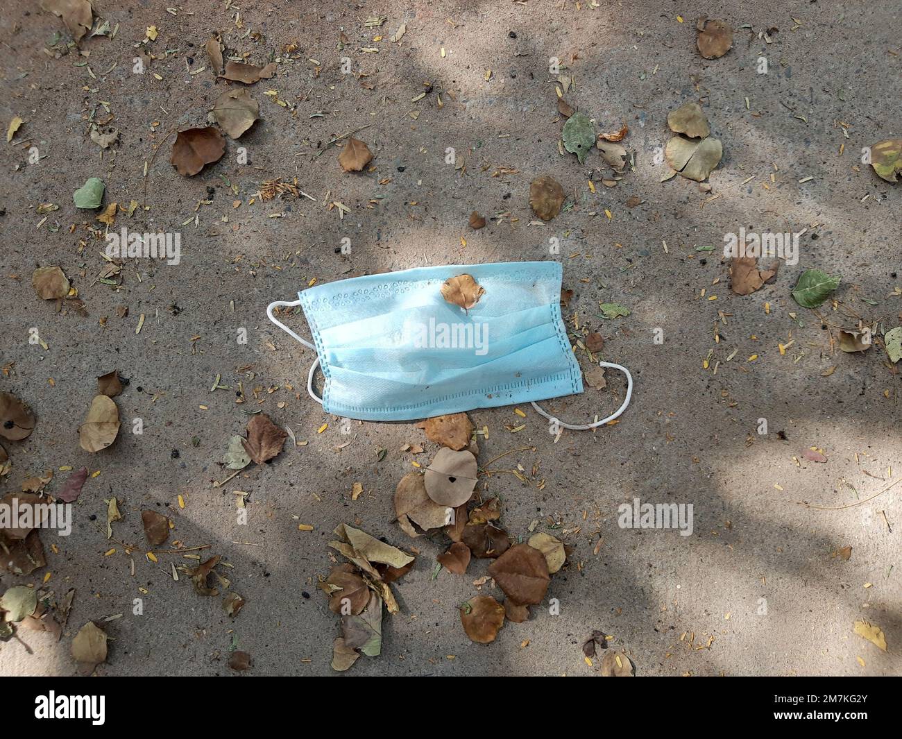 Used disposable medical Blue face mask discarded on the ground of a ...